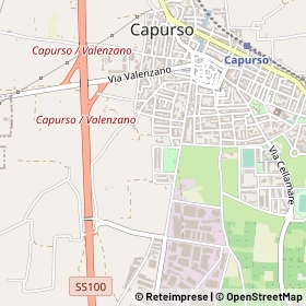 Insalterm di Insalata Cesare - 70010 Capurso