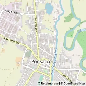 Lupi Rag. Lanciotto - 56038 Ponsacco