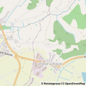 Podere la Pieve di Simone Bini e c. s.s. - 50050 Cerreto Guidi