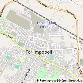 Castellani Mariarita - 47034 Forlimpopoli - Avvocati