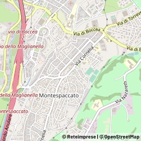 Tonnini aldo macelleria equina - 00166 Roma - Macellerie Equine