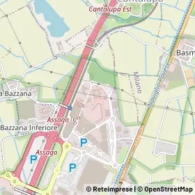 Nestlé Shop - 20090 Assago - Alimentari