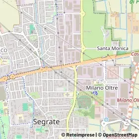 Maraldi Dr. Maria Antonietta - 20090 Segrate