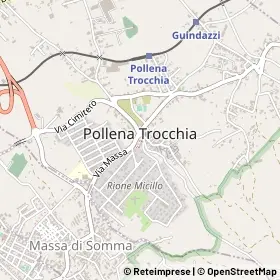 Paparo Salvatore - 80040 Pollena Trocchia - Macellerie