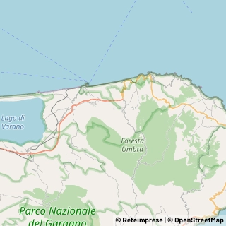 Legna da ardere a Vico del Gargano