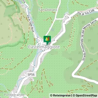 Azimut-treks - Trekking in Toscana, Escursioni a Piedi a Pisa, San ...