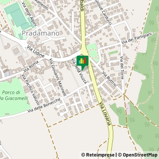 Logopedista Laura Micelli - 33040 Pradamano