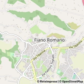 Istituto Comprensivo Fiano - 00065 Fiano Romano - Scuole Pubbliche