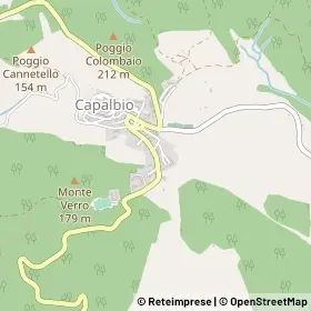 Angiolini ing. diego - 58011 Capalbio - Ingegneri