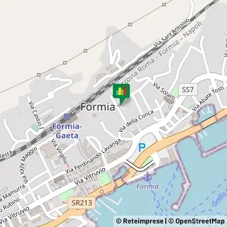 Ittica Golfo di Gaeta Sas di Pirolozzi B C - 04023 Formia