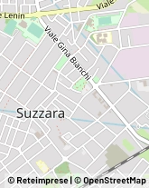 Aziende di Suzzara