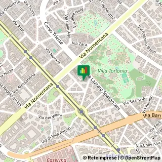 Daniela Ciatto - 00161 Roma